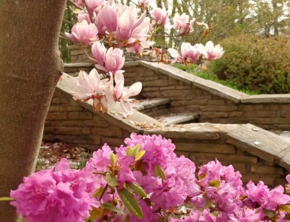 Flourishing – What is it and How Do We Achieve it?